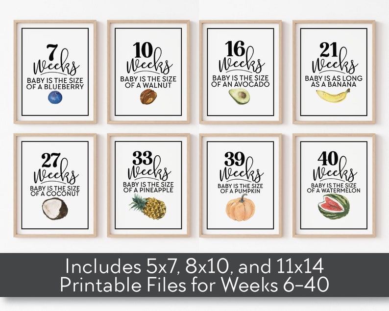 Weekly Pregnancy Signs Printable - Baby Size Week by Week - Weekly ...