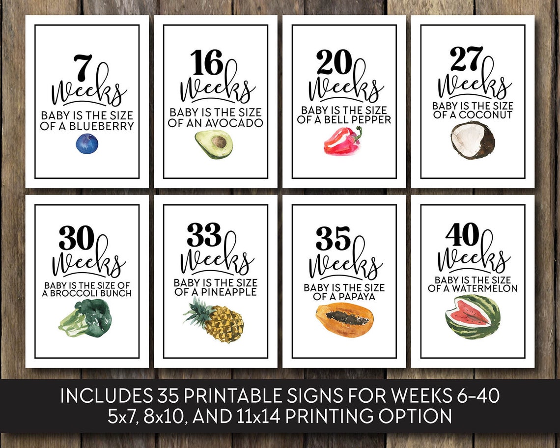 Weekly Pregnancy Signs Printable Baby Size Week by Week | Etsy