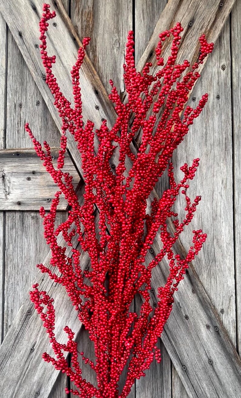 Supersize Red Berry Twig Bundle, 35 Inches - Etsy