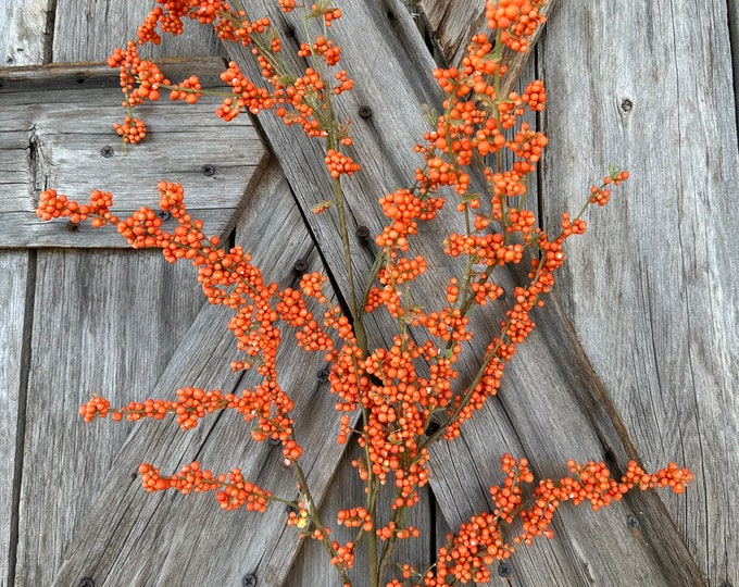 Orange Bittersweet Berry Spray , Wreath Supply, Floral - Etsy