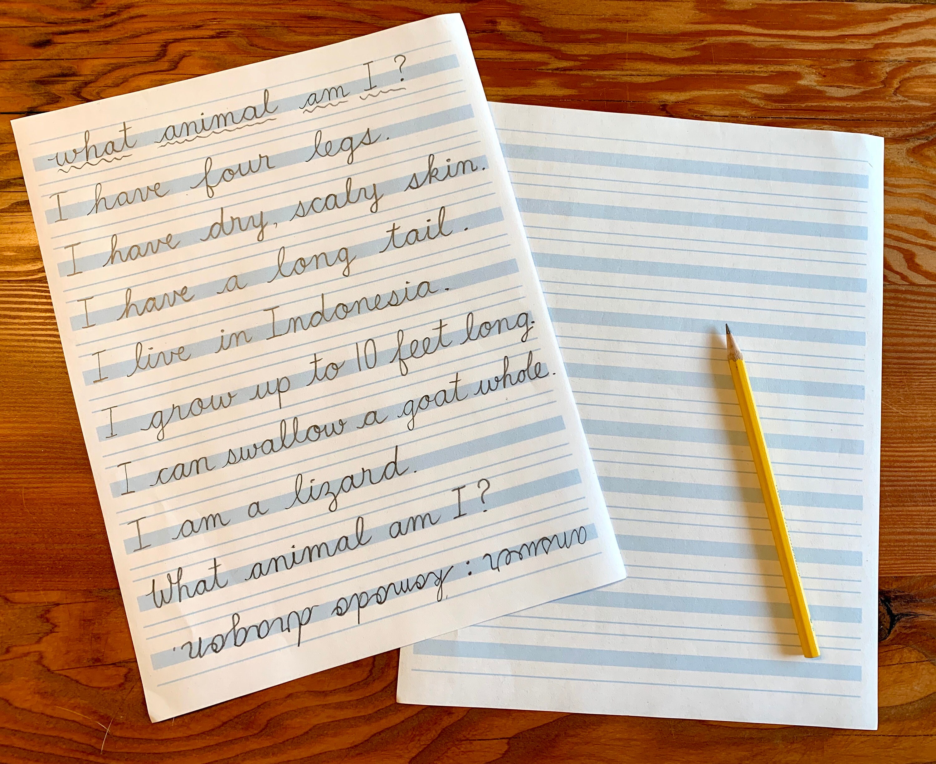 Lined Writing Paper for Montessori Classrooms Blue Lines - Etsy UK