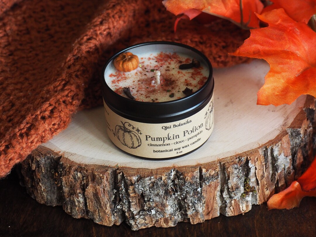 Pumpkin Potion Handmade Soy Candle Pumpkin, Cinnamon, Clove, Nutmeg ...