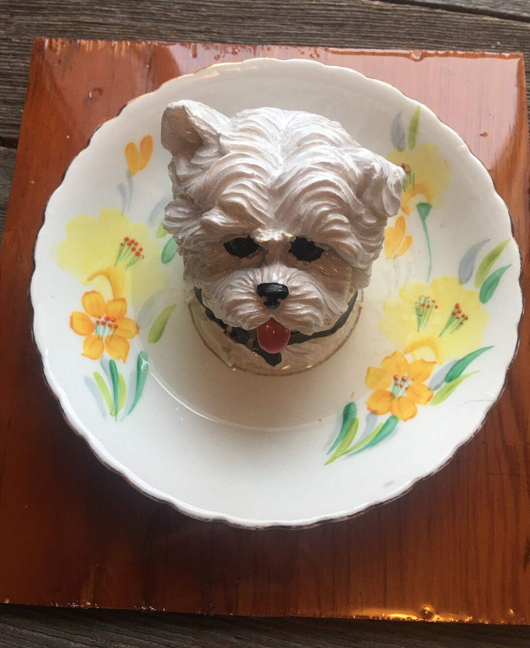 Teacuptaxidermy!! Unique and Bizarre Wall Art - Upcycled Saucer ...