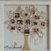 Photo Tree Frames Family Tree Gifts Photo Gifts Shadow Box Frames - Etsy