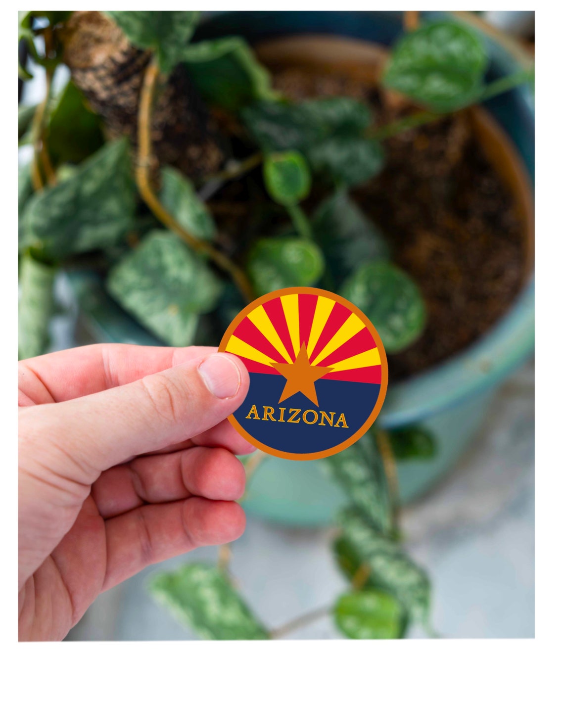 Arizona Flag Sticker, Arizona Circle Sticker, Water Bottle Sticker - Etsy