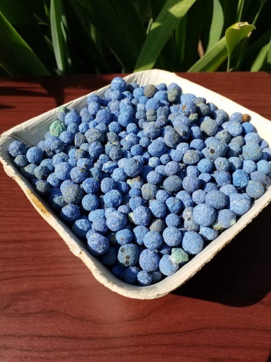 Blue Azurite Blueberry Nodule From Utah - Etsy