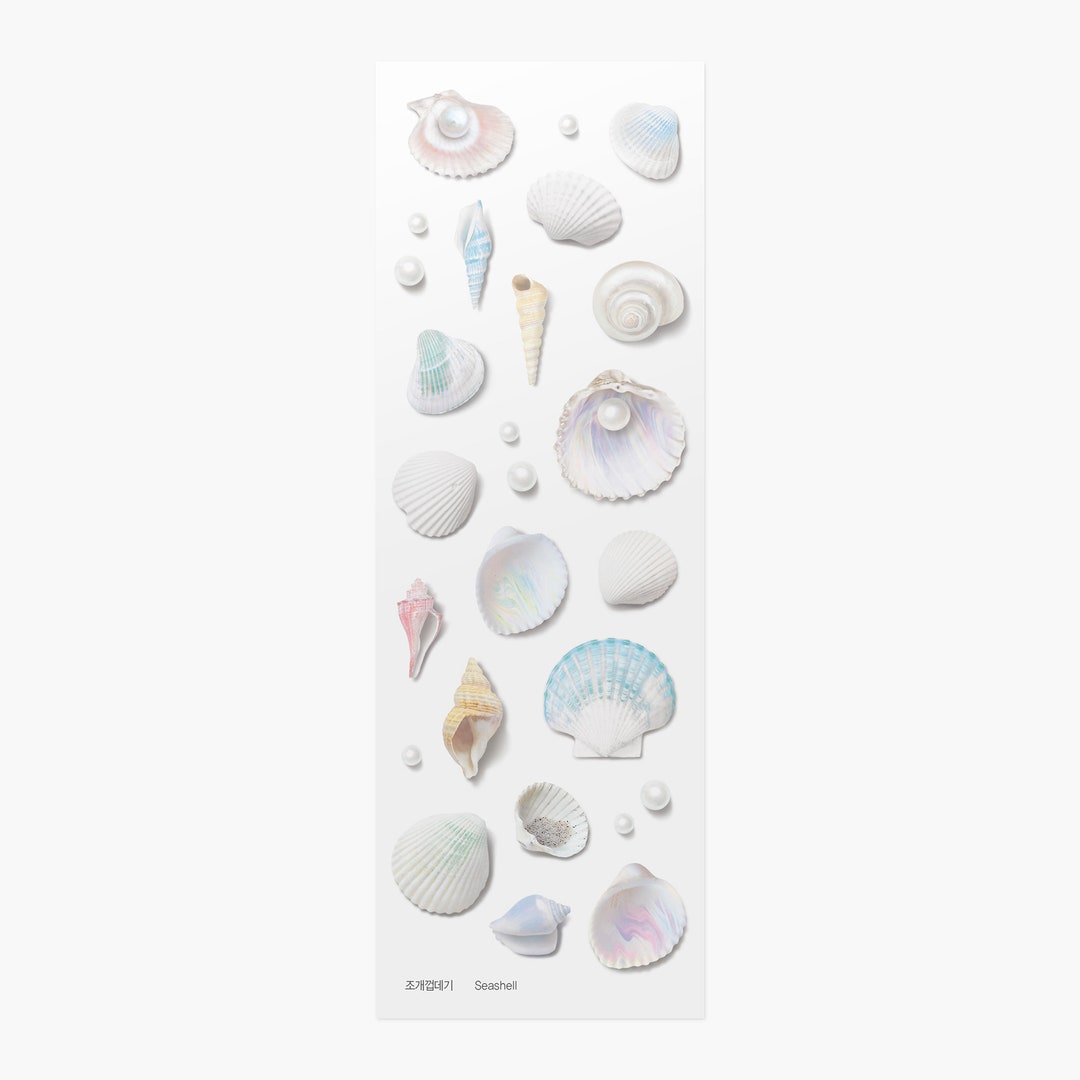 Appree Korea Nature Stickers Seashell - Etsy