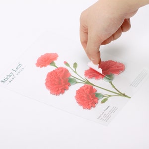 Appree Korea - Sticky Notes - Pink Carnation (large Pack) - Etsy
