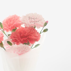 Appree Korea - Sticky Notes - Pink Carnation (large Pack) - Etsy