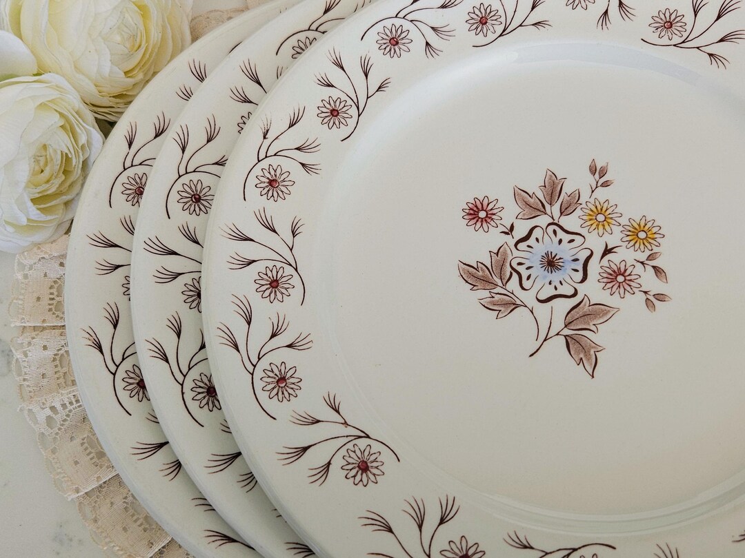 Set of 3 Vintage Grindley Southwind Dinner Plates, Hercules Vitrified ...