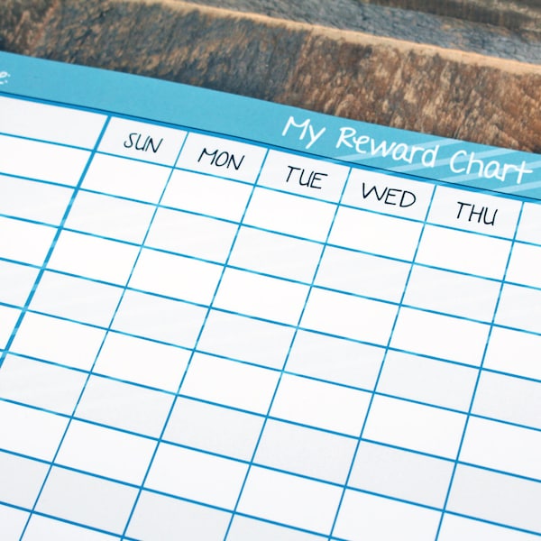 Behavior Chart - Etsy