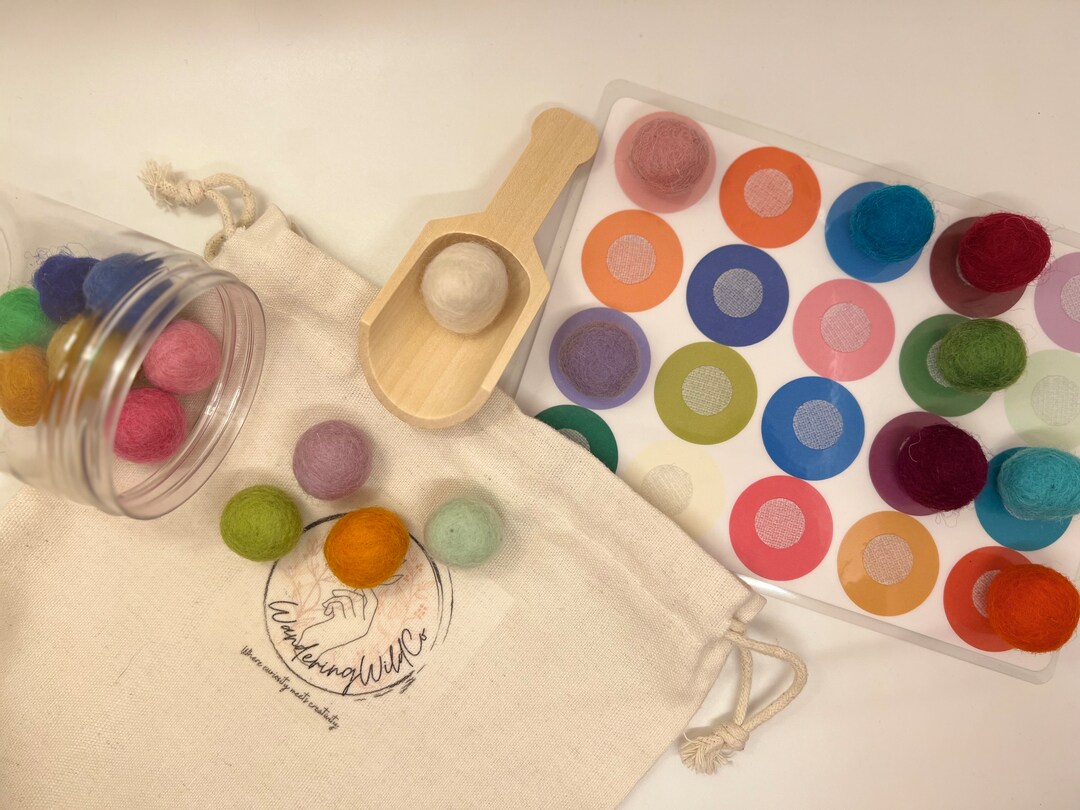 Montessori Inspired Color Sorting Activity - Etsy