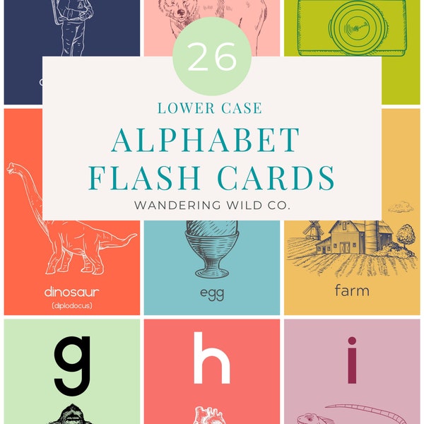 Lower Case Alphabet Flash Cards - Etsy