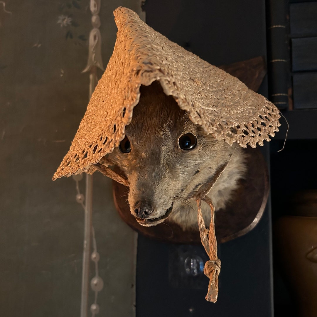 Vintage Girls Straw French Bonnet With Original Tissue Wrap - Etsy