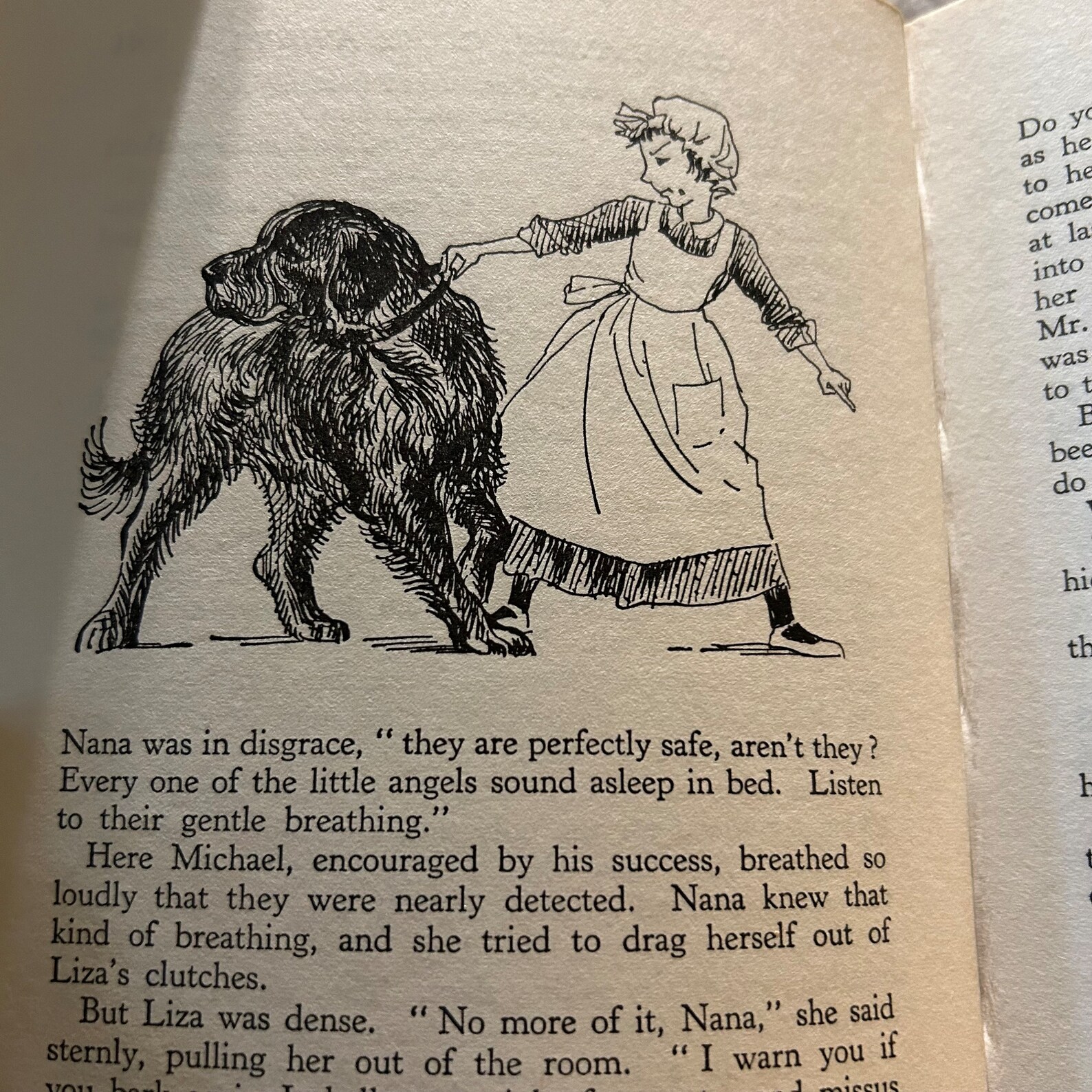 Peter Pan by J M Barrie Illustrated by Nora S Unwin 1967 Book - Etsy