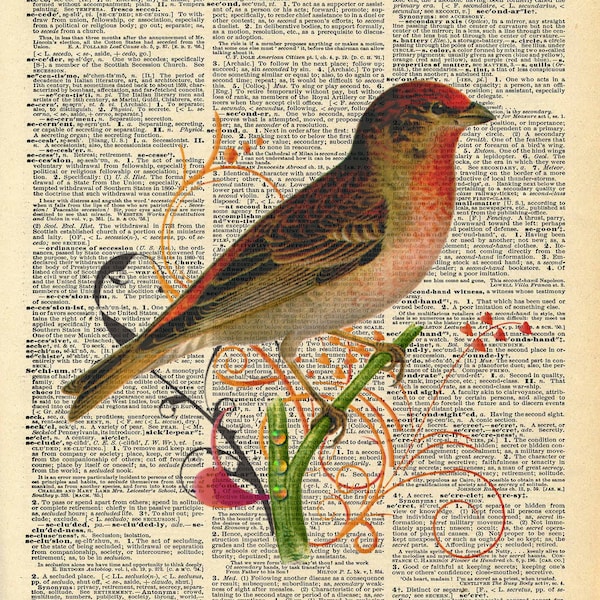 Bird Dictionary Art - Etsy