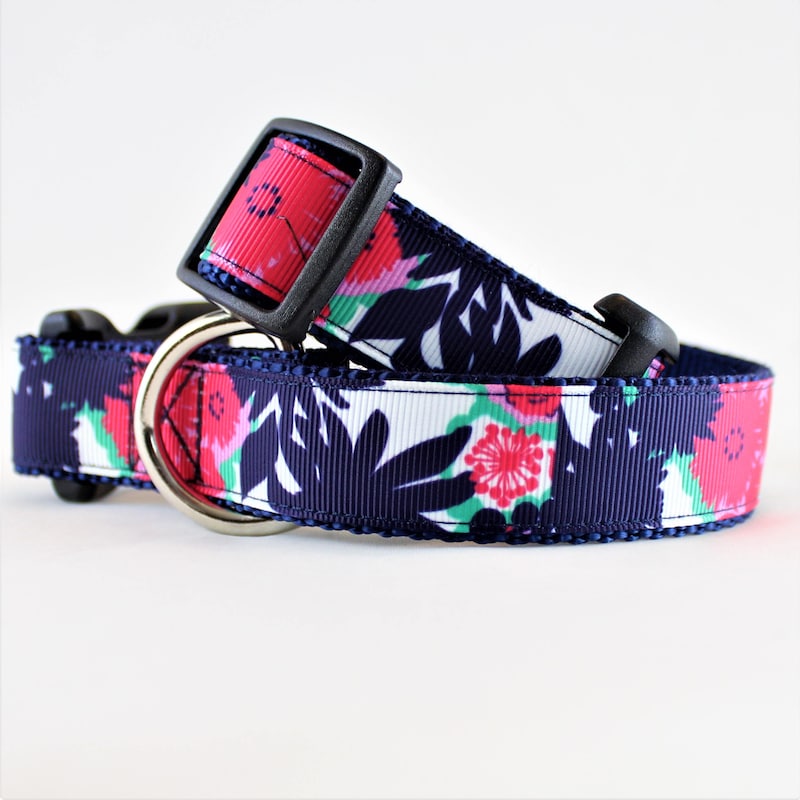 Colorful Dog Collar - Etsy