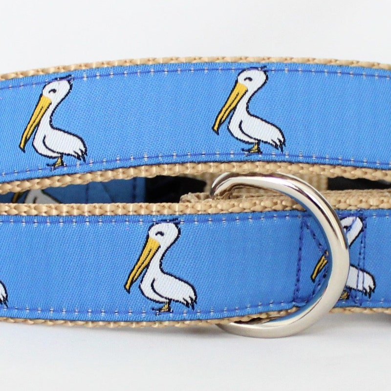 Fun Dog Collar - Etsy