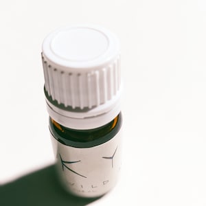 Kyphi. Natural Perfume. Egyptian Temple Incense Scent. Botanical ...