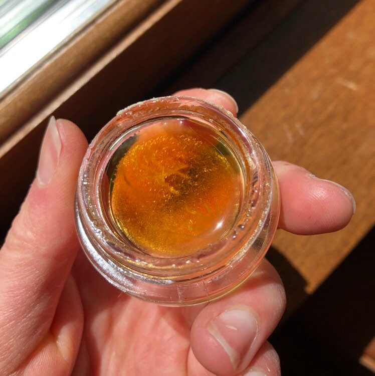 Blue Spruce Soliflore. Single note blue spruce cologne from | Etsy