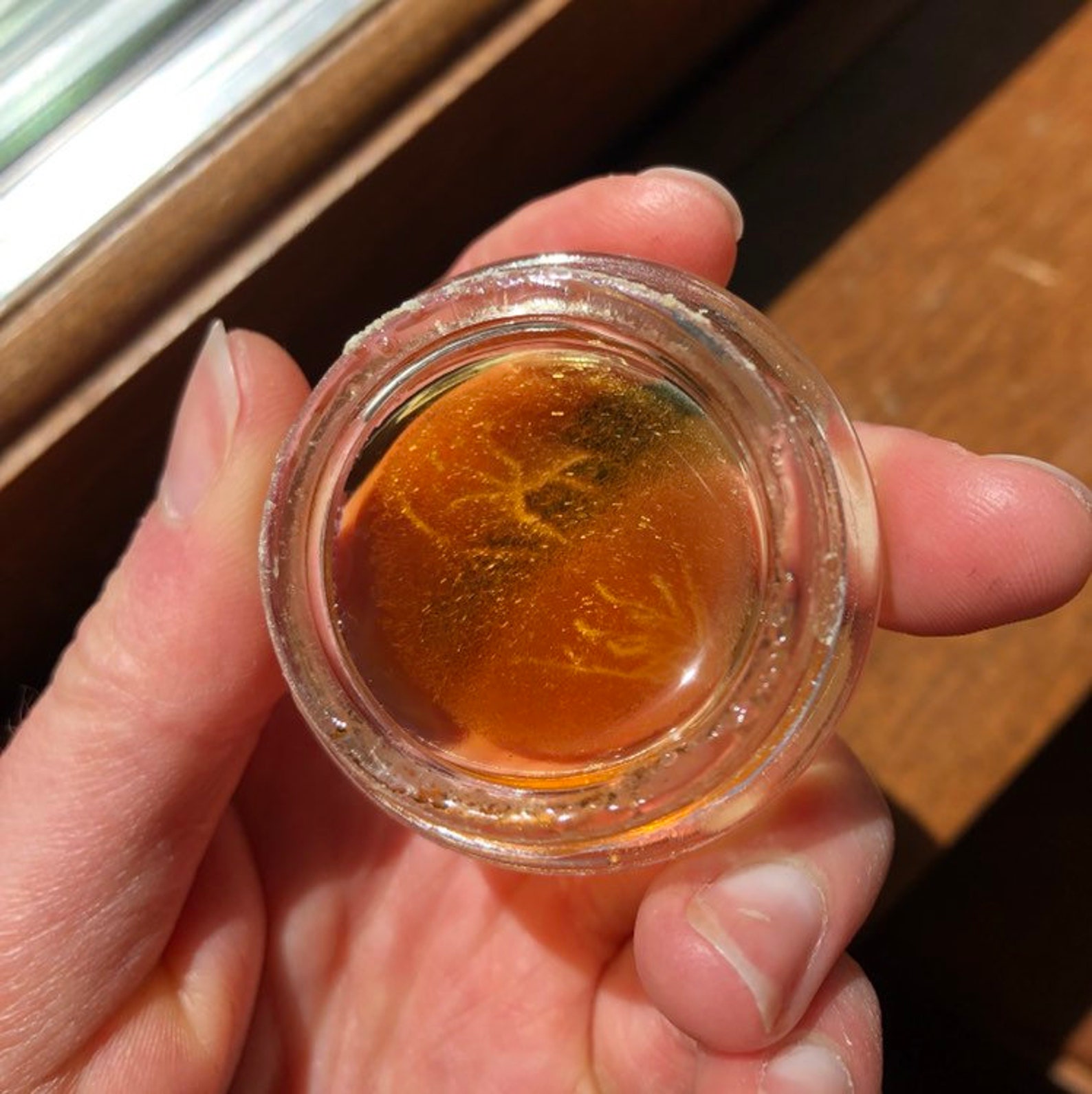 Blue Spruce Soliflore. Single Note Blue Spruce Cologne From | Etsy