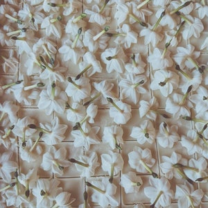 Yellow Musk. Enfleurage Perfume. Paperwhite Narcissus Enfleurage ...