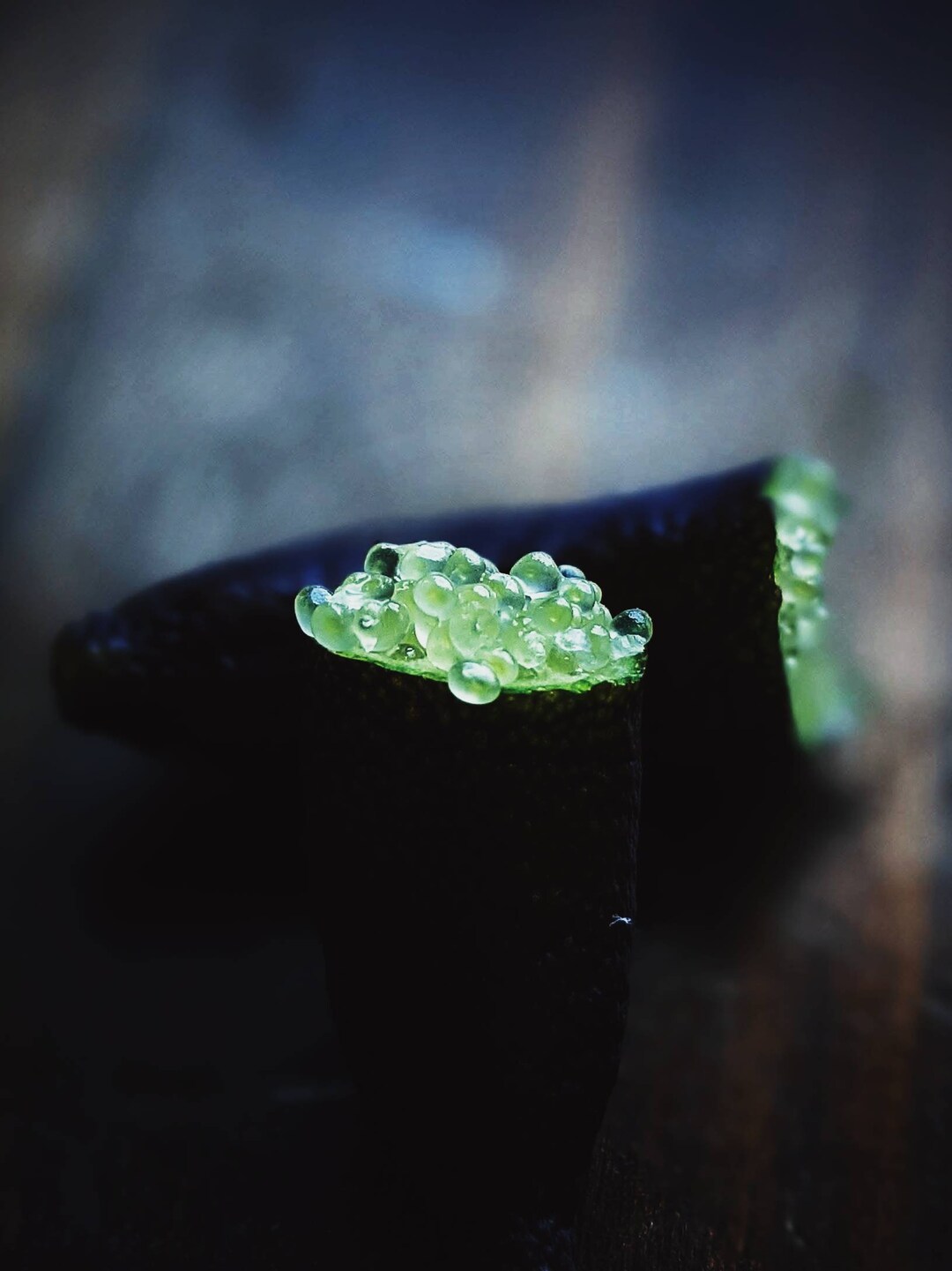 Caviar Rose. Animalic Sour Cabbage Rose Perfume From Long Term ...