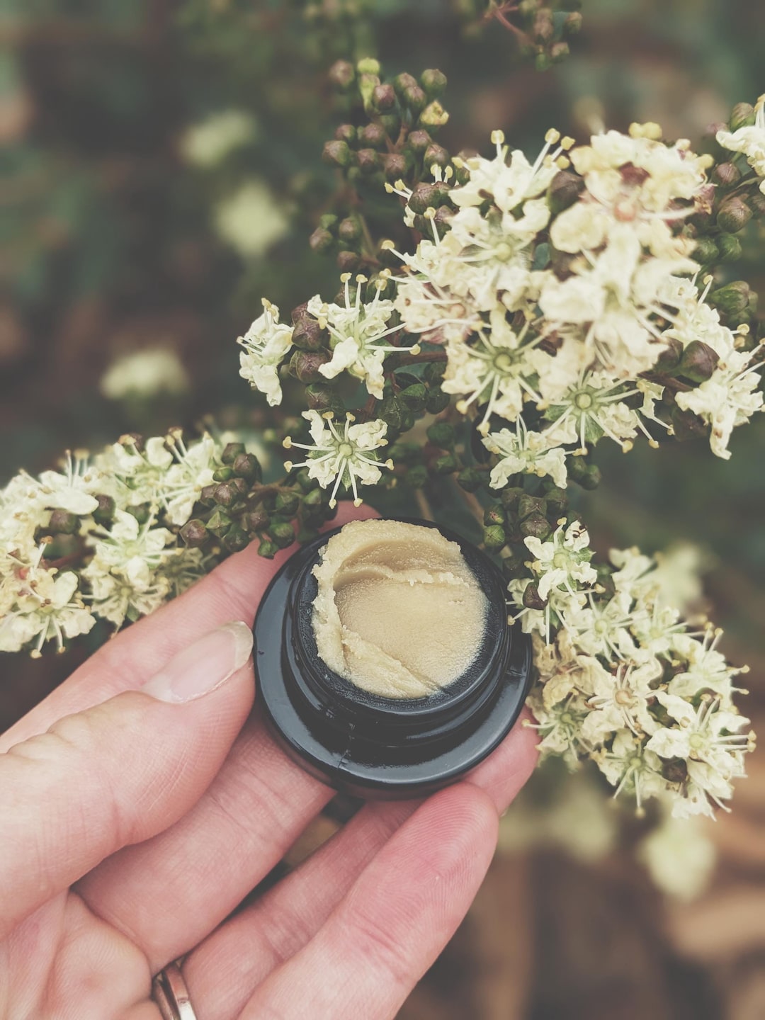 Natural Perfume Fixative. Henna Base Notes. - Etsy