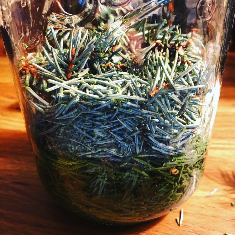 Blue Spruce Soliflore. Single note blue spruce cologne from | Etsy