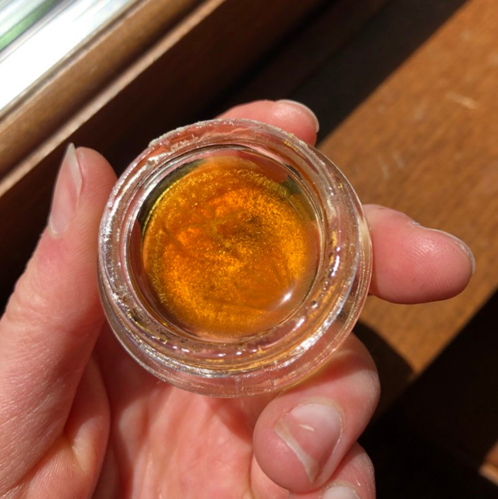 Blue Spruce Soliflore. Single Note Blue Spruce Cologne From | Etsy