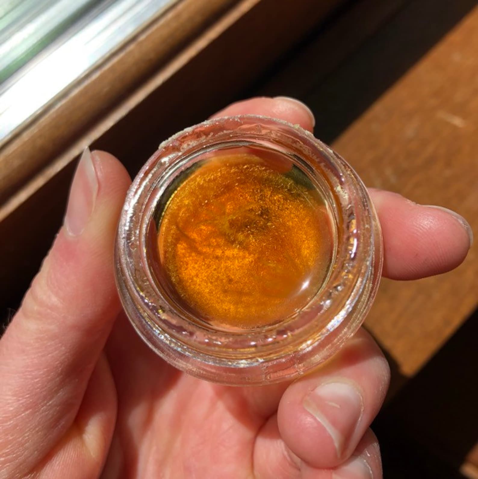 Blue Spruce Soliflore. Single Note Blue Spruce Cologne From | Etsy