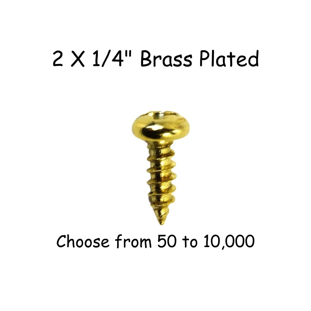 2 X 1/4" Brass Plated Steel Screws - Small Screws for Wood - Hinge Screws - Gold Screws - Etsy