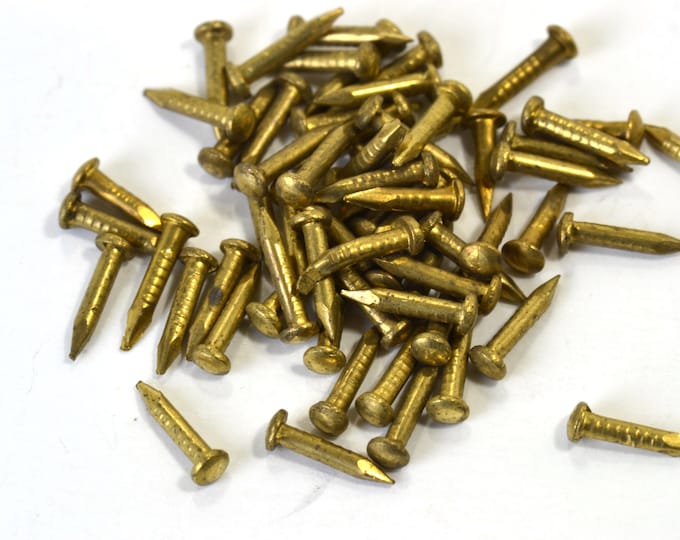 Brass Escutcheon Pins 100 Pack 18 Guage X 1/4 Long Decorative Nails ...