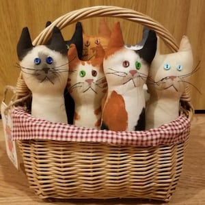 Cat Lady Starter Kit - Etsy