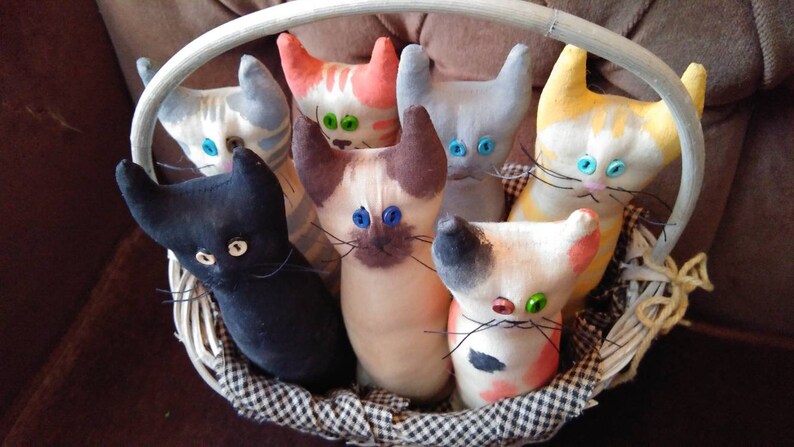 Cat Lady Starter Kit | Etsy