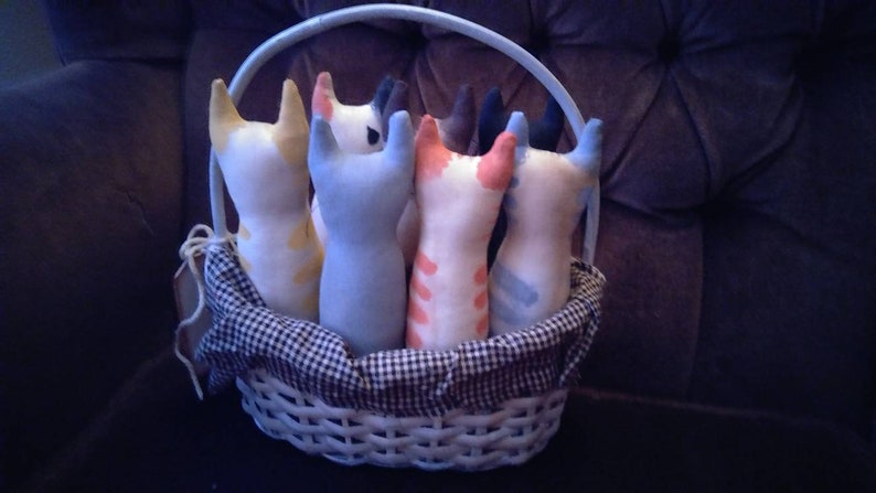 Cat Lady Starter Kit | Etsy