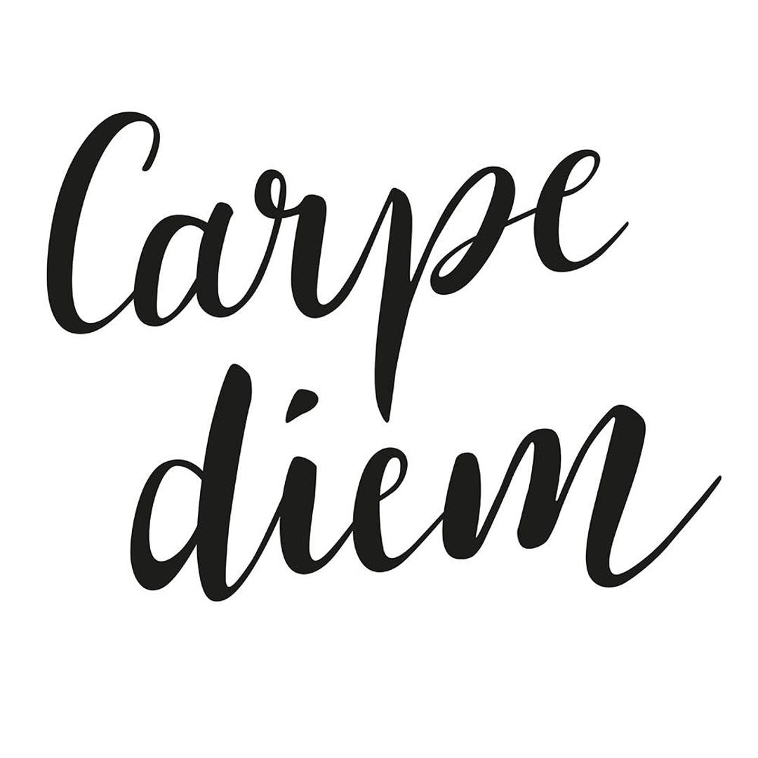 Digital Clipart Carpe Diem Latin Aphorism Vector Image Modern ...