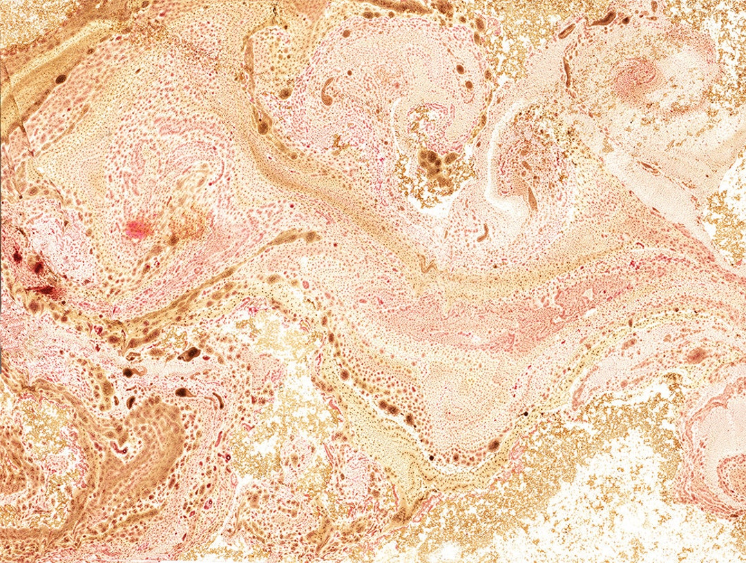 Marbled Paper Background Paper Craft Digital Paper Scrapbook Paper ...