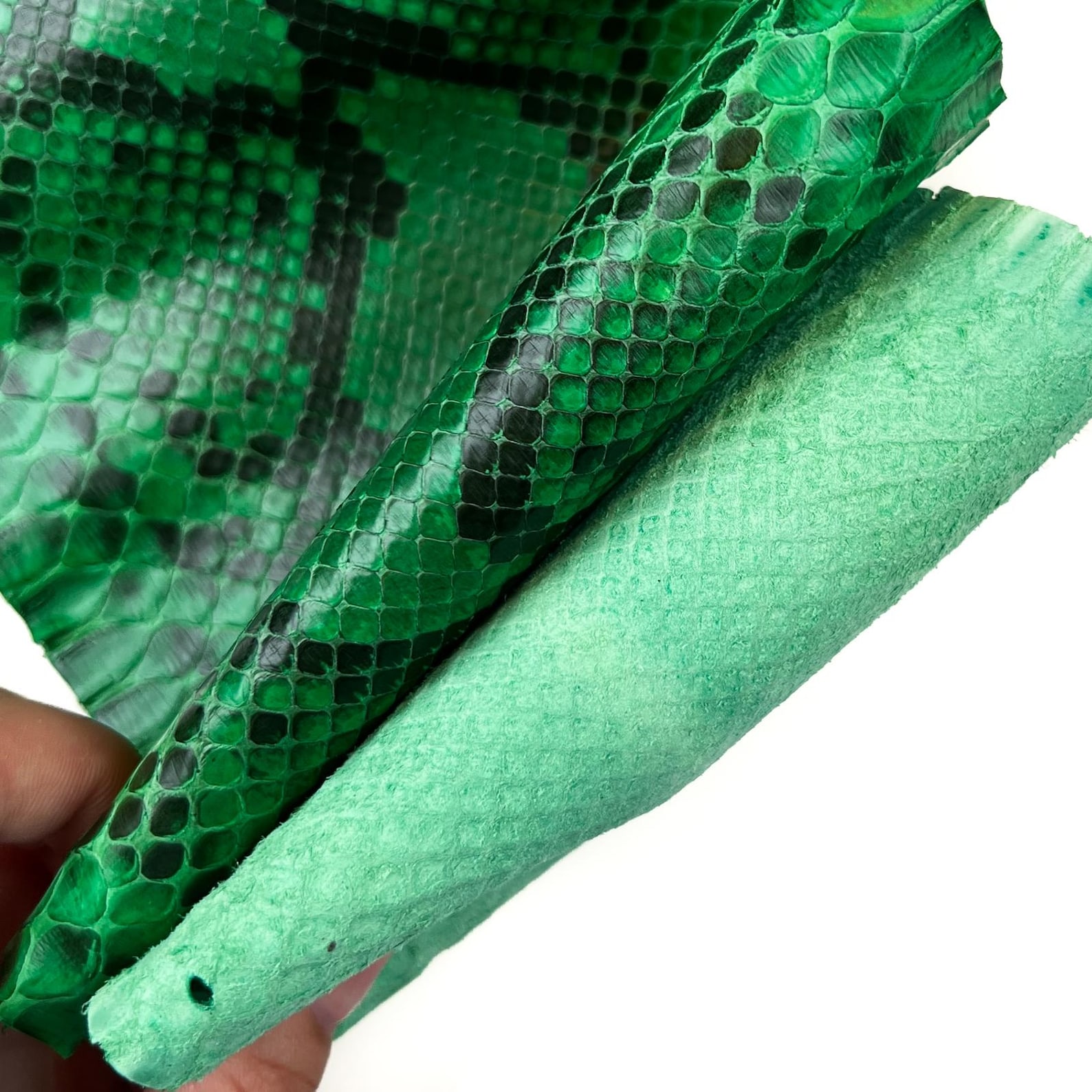Bright Green Genuine Pythons Leather Full Skins 75cm // 2.6 Tf and ...