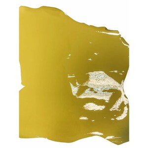 Mustard Color Patent Leather Hides // Real Animal Lacquer Leather ...