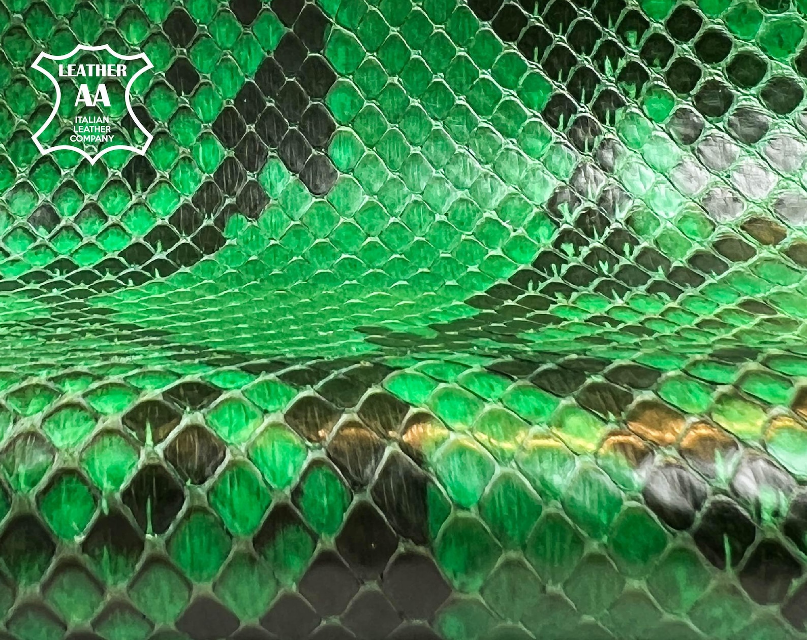 Bright Green Genuine Pythons Leather Full Skins 75cm // 2.6 Tf and ...