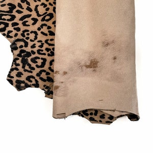 BEIGE Suede Leopard Print Leather// Soft Sheepskin Pieces //black ...