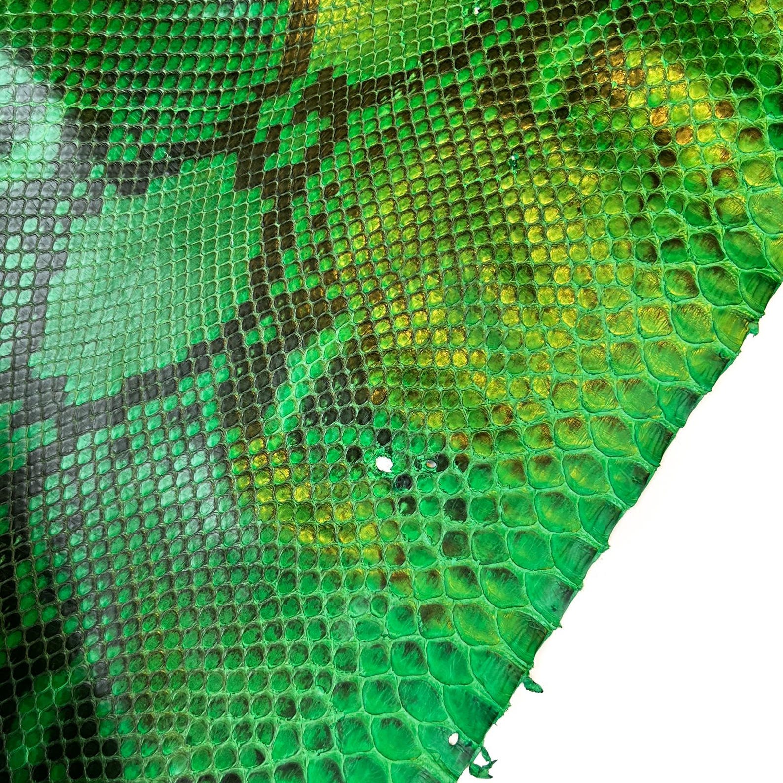 Bright Green Genuine Pythons Leather Full Skins 75cm // 2.6 Tf and ...