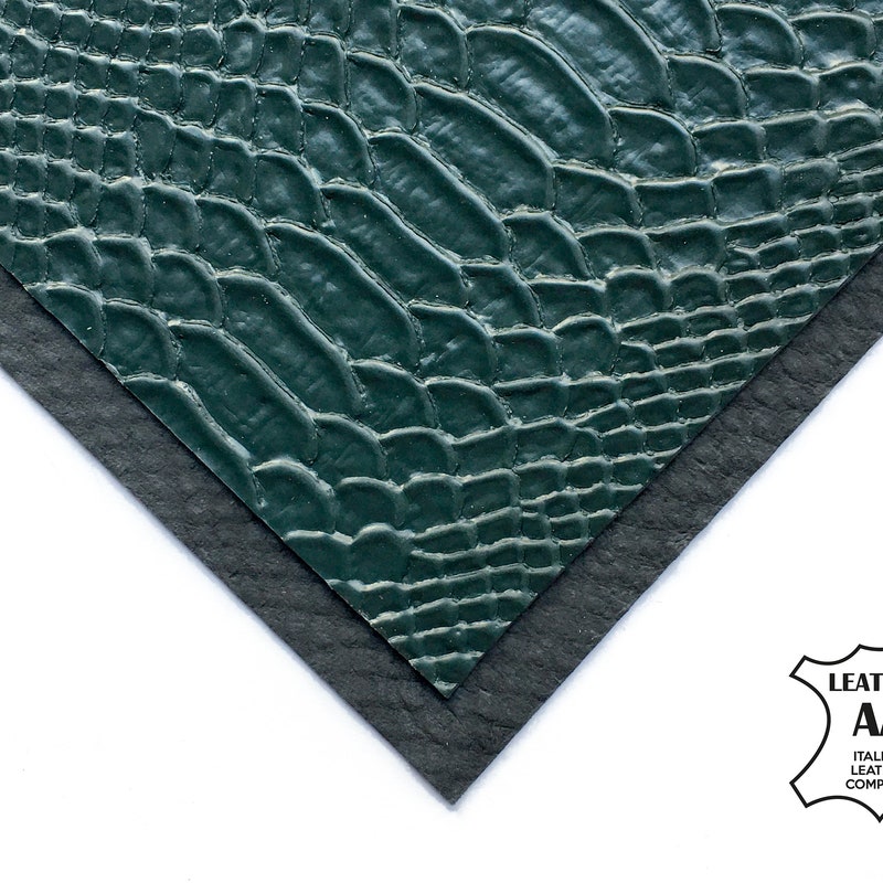 Real Snake Skin - Etsy