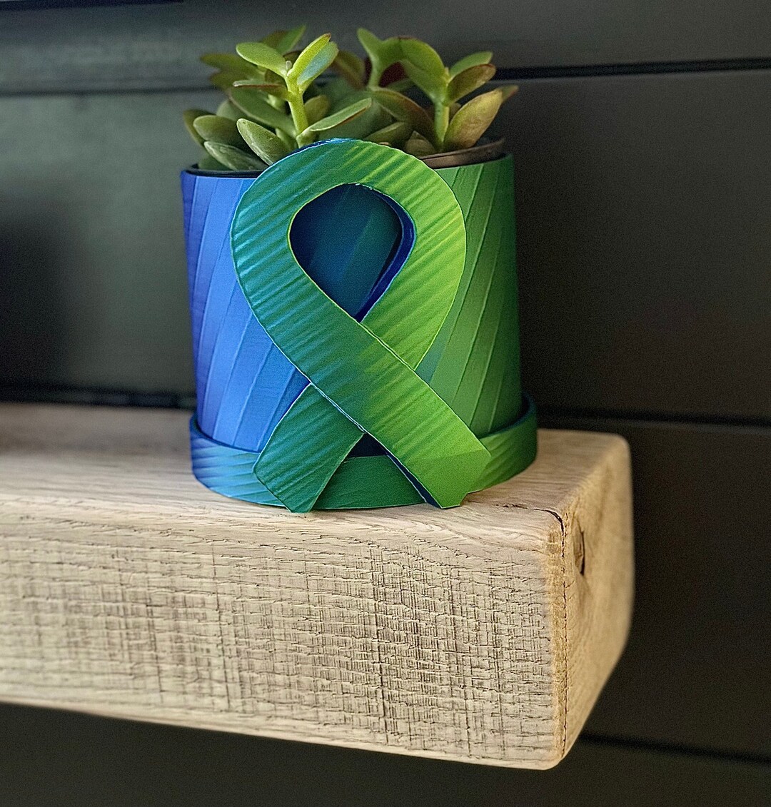 Transplant Planter, Transplant Anniversary Gift, Liverversary Gift, 3D ...