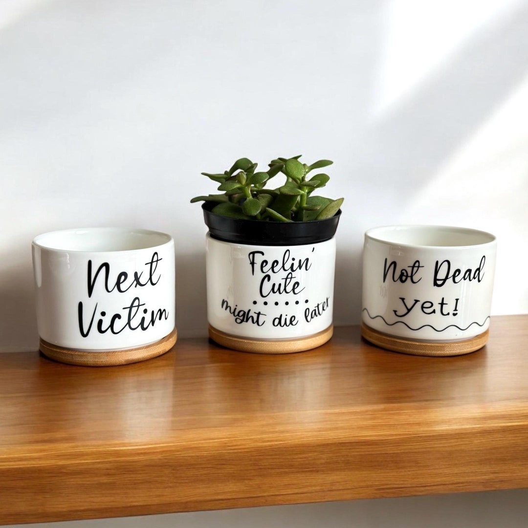 Funny Sayings Ceramic Planters, Funny Planters, Plant Humor Gifts ...
