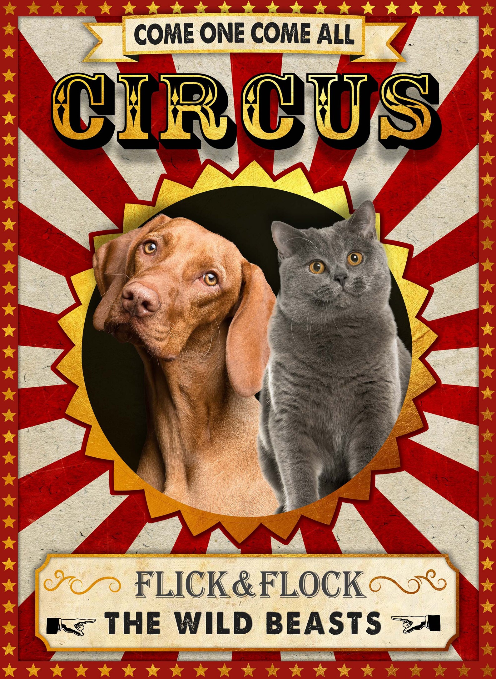 Custom Pet Circus Poster - Personalized With Your Texts and Photo. - Etsy