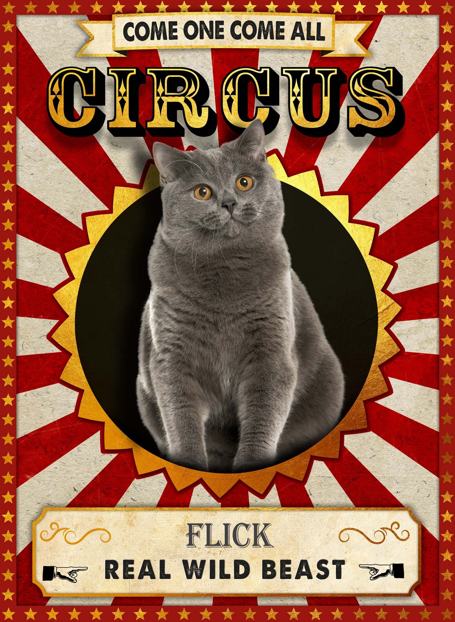 Custom Pet Circus Poster - Personalized With Your Texts and Photo. - Etsy
