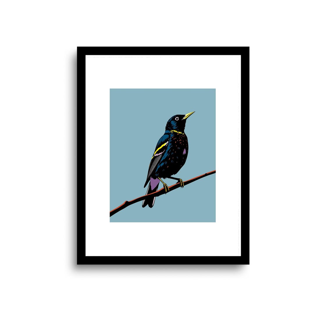 Modern Starling on Branch Art Print | Blue Starling Illustration | Pop ...