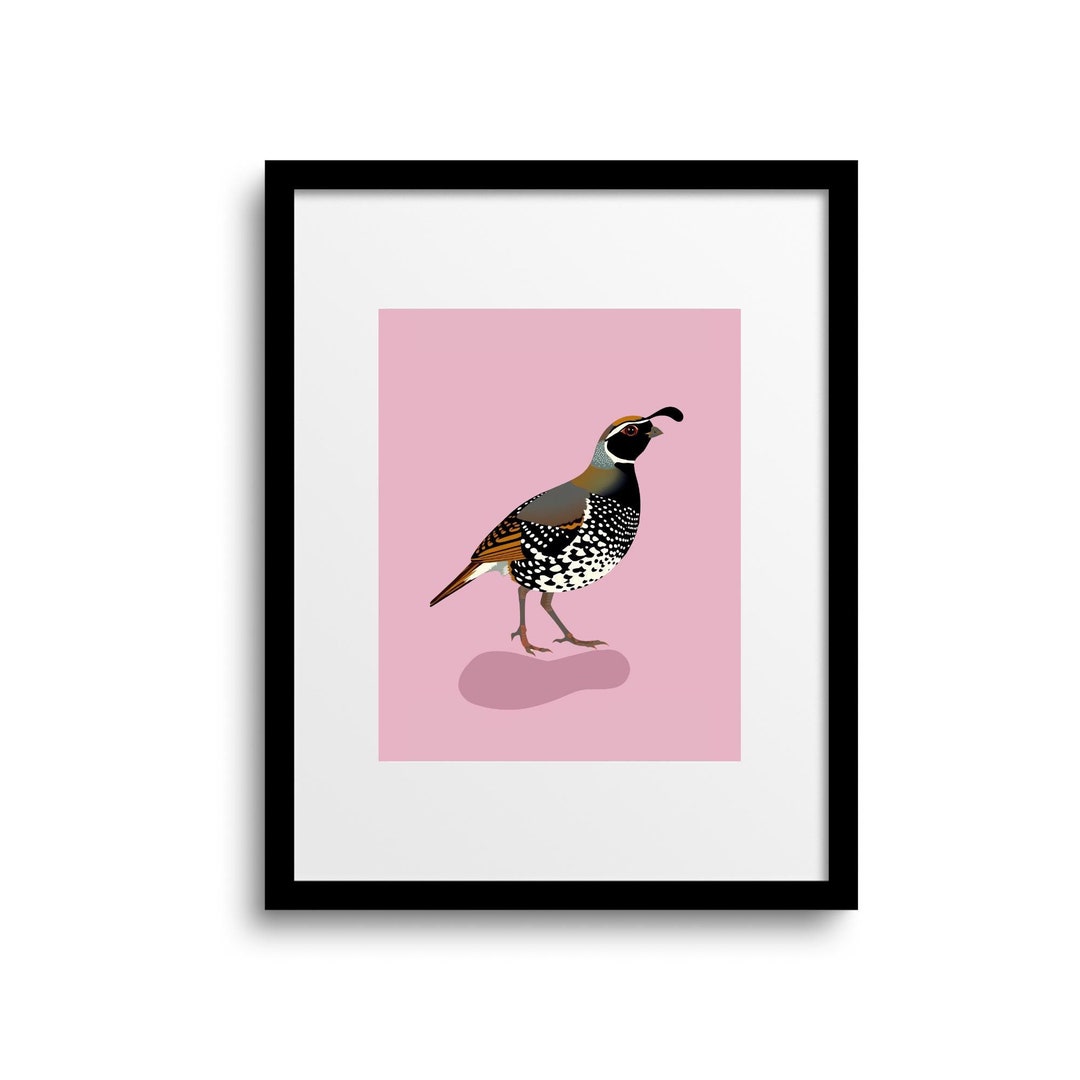 California Quail Art Print | Pop Art Quail Wall Art | Large Quail ...